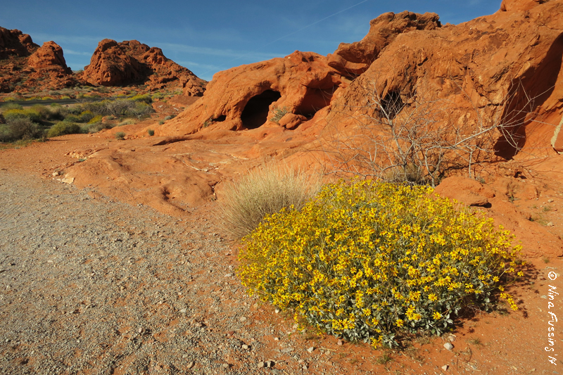 Wonder & Awe In The Valley Of Fire, NV – Wheeling It: Tales From a ...